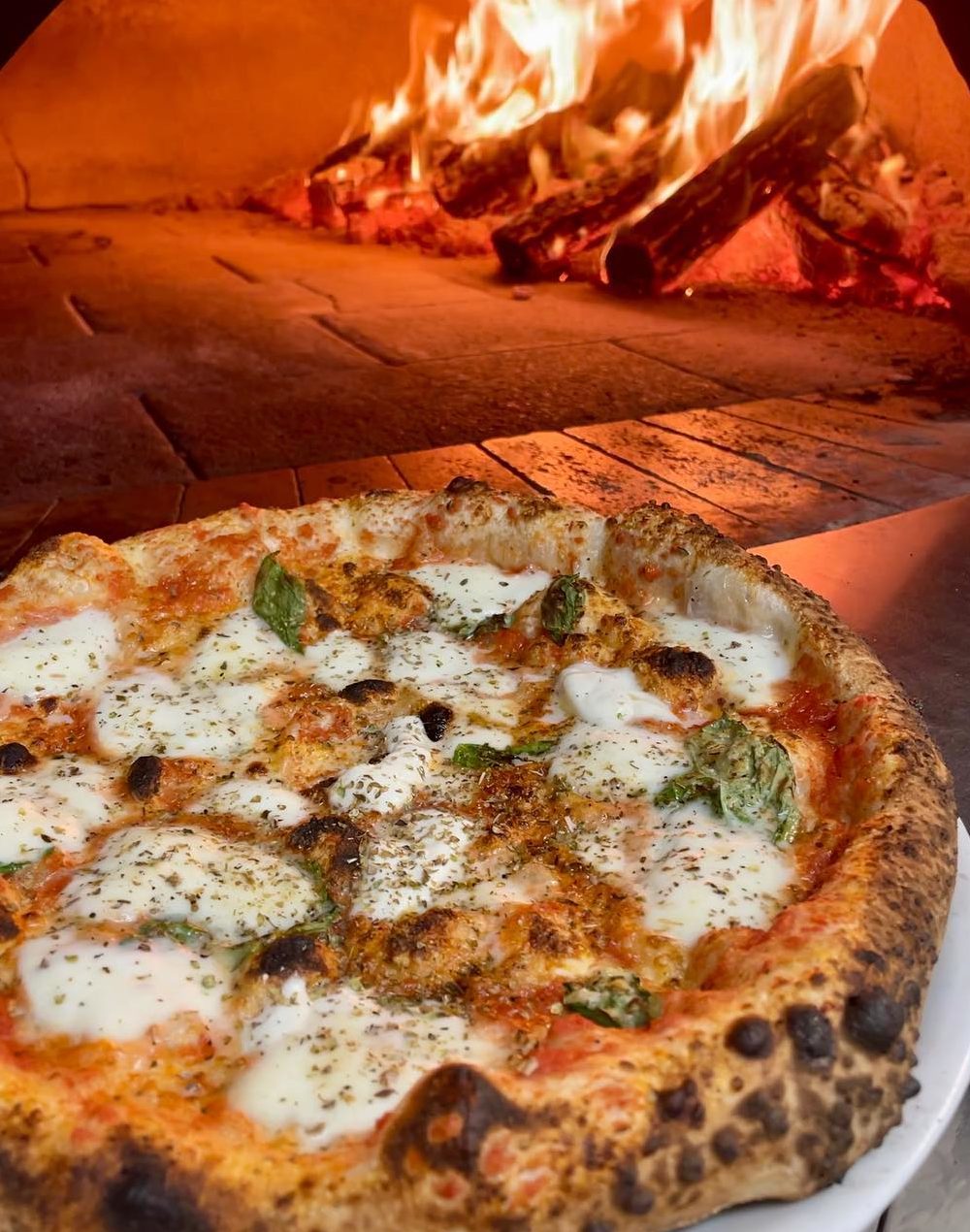 Bellissimo! Best Italian restaurants of beautiful Brisbane | Dish Cult