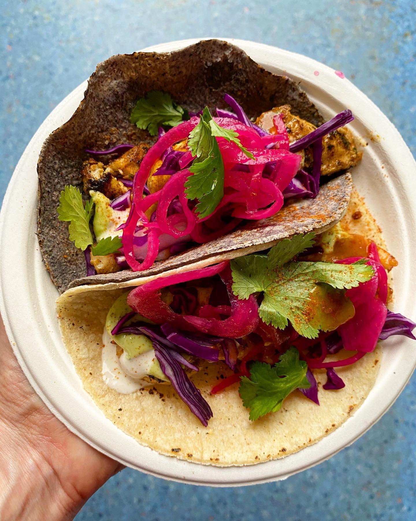 The Best Lunches In Auckland For Under $15 | Dish Cult
