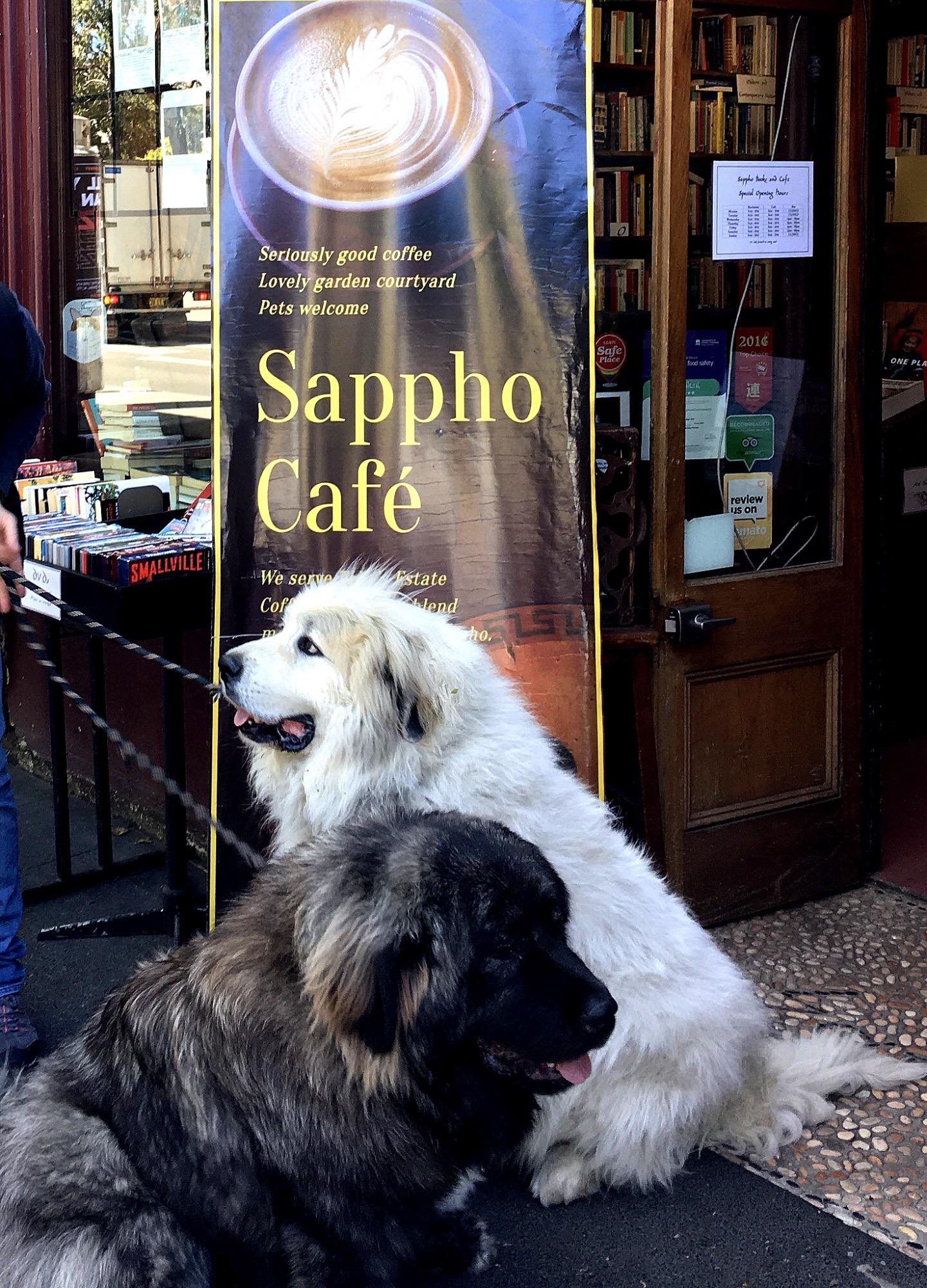 Coffee loving bookworm? Five Sydney bookshops with stellar cafes | Dish ...