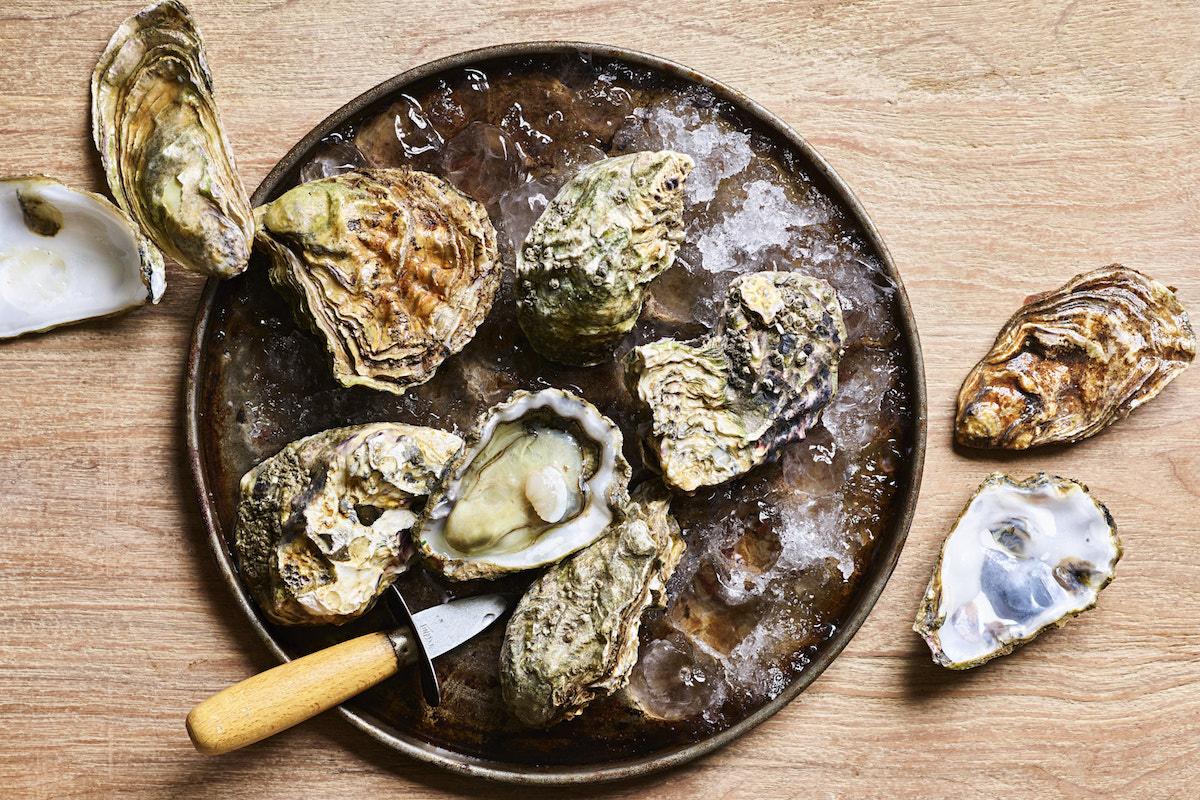 New Mediterranean restaurant CAVO opening soon | Dish Cult
